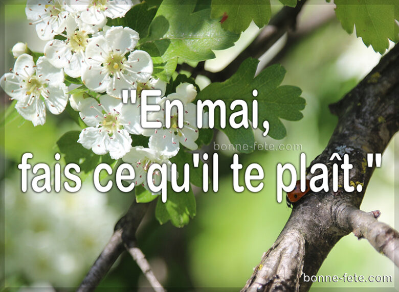 Dictons célèbres du mois de mai - Bonne fête